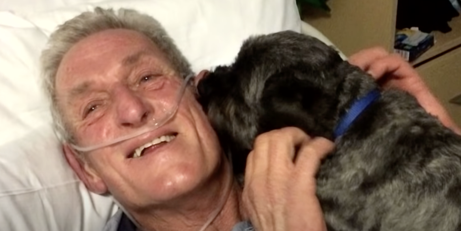 A miracle rescue dog wakes up owner from coma - middlekingdomrescue.com