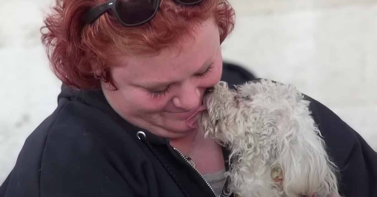 Rescuer in tears at homeless poodle’s sweet surprise ...
