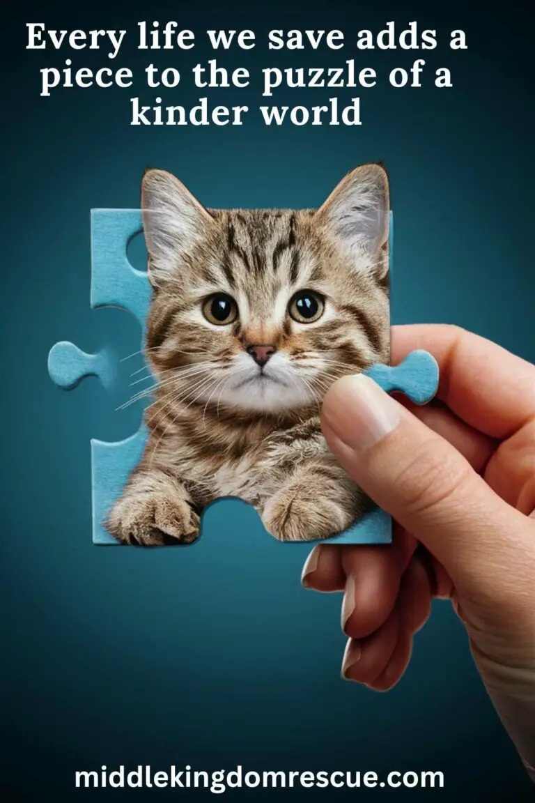 10 Inspiring Animal Rescue Volunteer Quotes - middlekingdomrescue.com