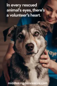 10 Inspiring Animal Rescue Volunteer Quotes - middlekingdomrescue.com