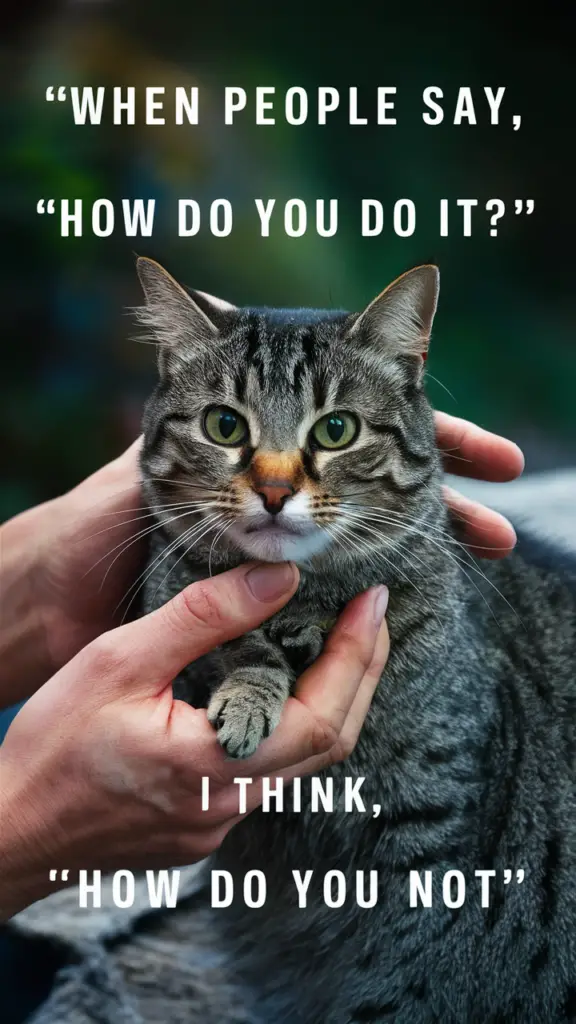 10 Inspiring Animal Rescue Volunteer Quotes - middlekingdomrescue.com