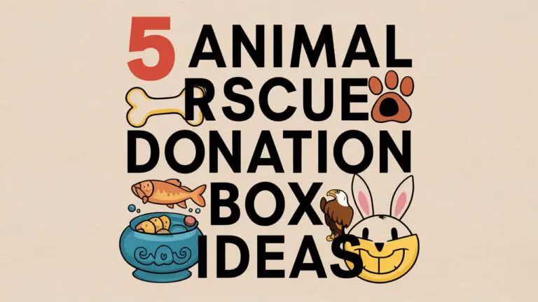 5 Animal Rescue Donation Box Ideas - middlekingdomrescue.com
