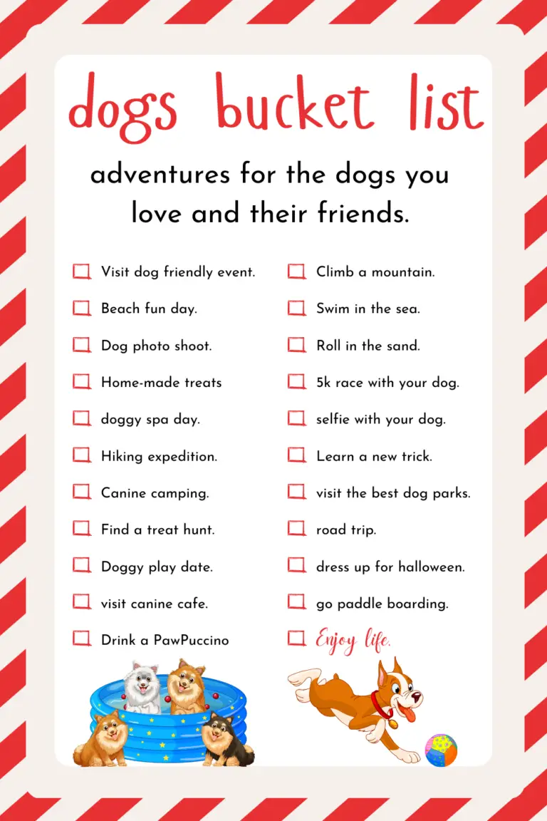 10 Dog bucket list ideas - middlekingdomrescue.com