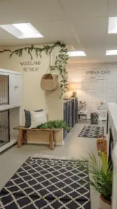 10 Animal Shelter Design Ideas for Creating a Welcoming Haven ...