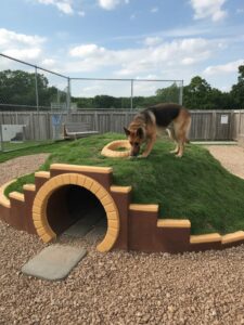 10 Dog Park Design Ideas for Happy Pups and Engaged Owners ...