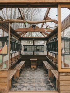 5+ Pigeon Loft Design Ideas for Any Home - middlekingdomrescue.com